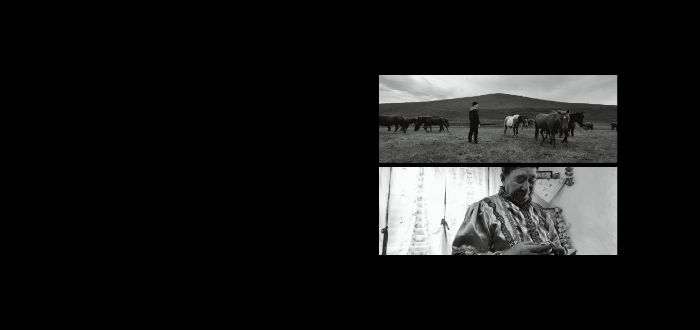 XPan Mode on the OnePlus 9 Series