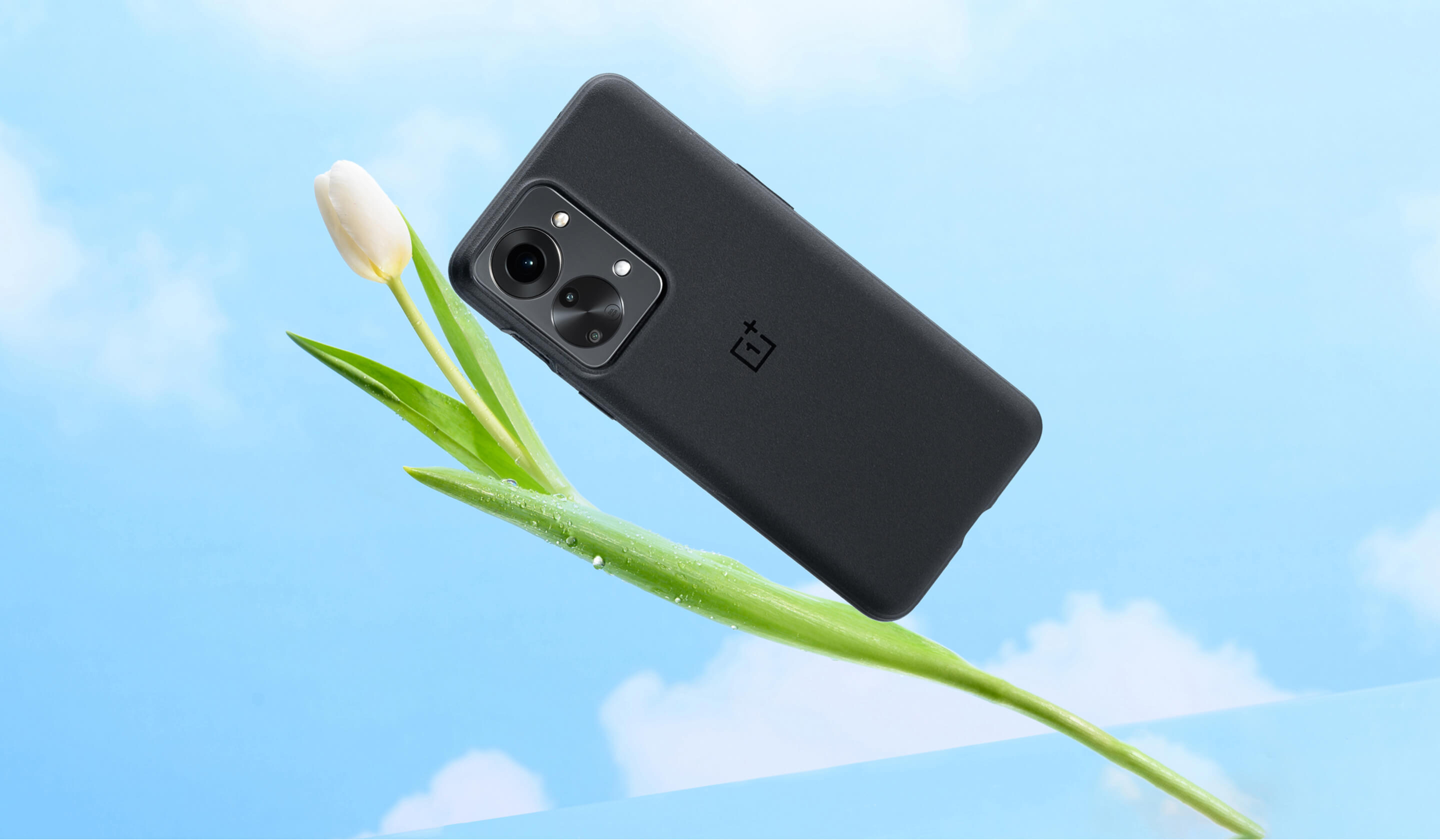 OnePlus Nord 2T 5G Sandstone Bumper Case