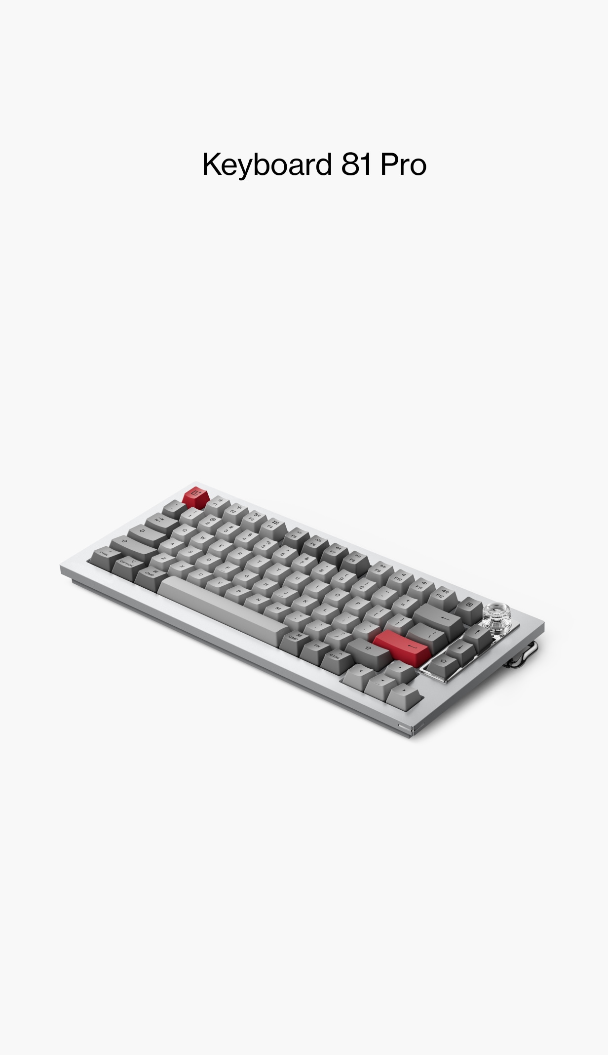 10th Anniversary Celebration - OnePlus (България)