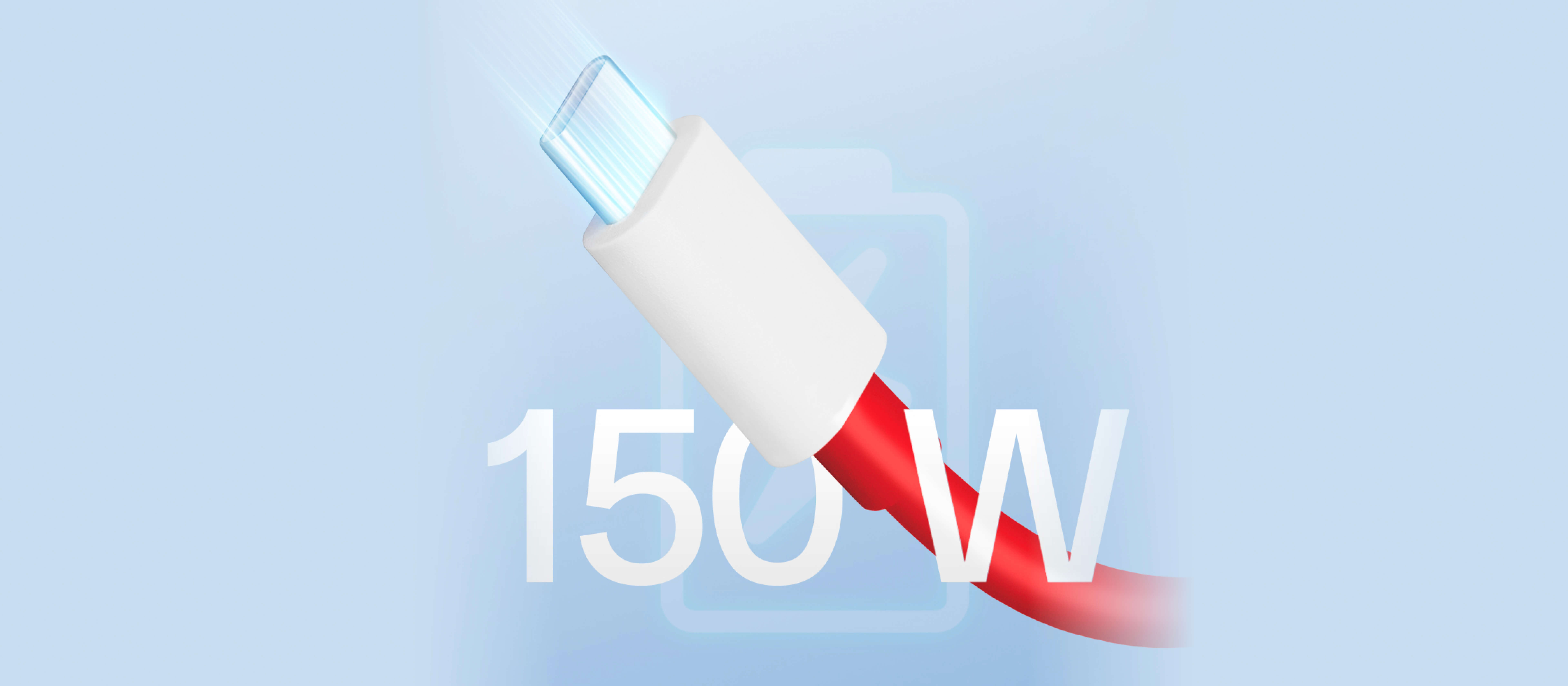 OnePlus Type C to Type C Cable