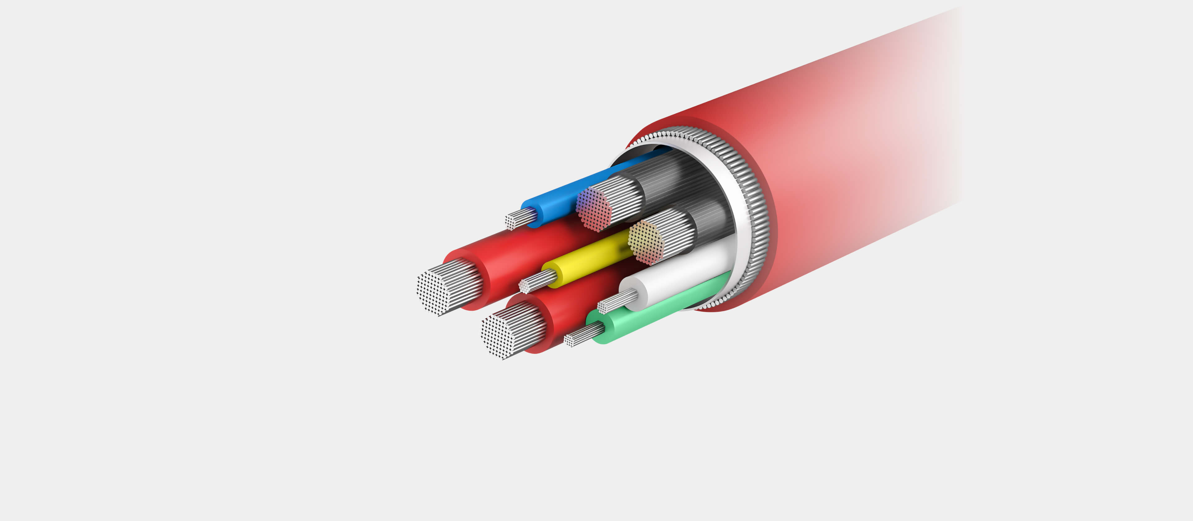OnePlus Type C to Type C Cable