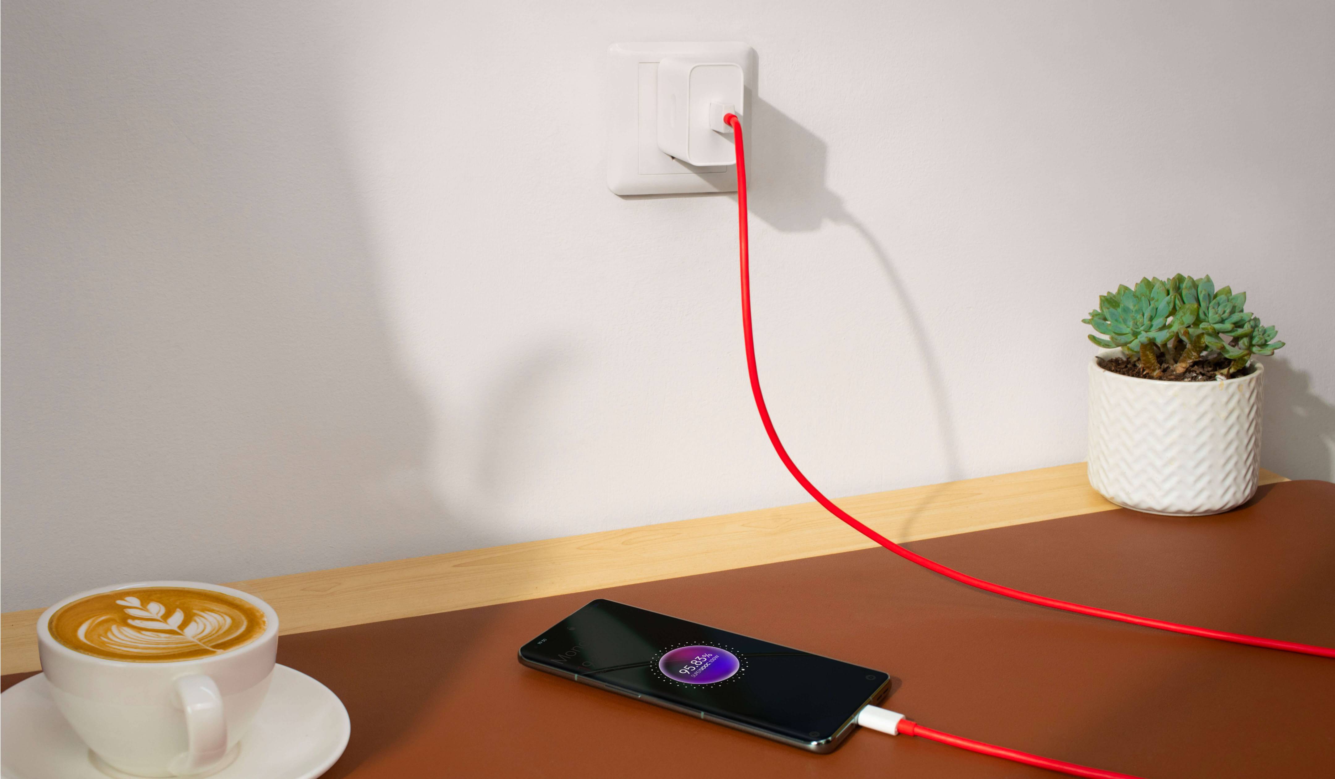 Buy OnePlus Type-A to Type-C Cable