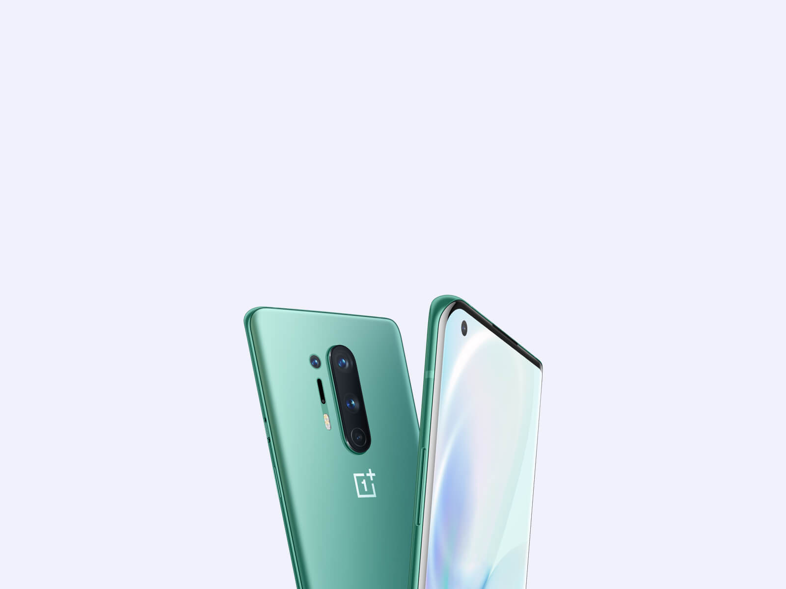 Never Settle - OnePlus (United Arab Emirates)