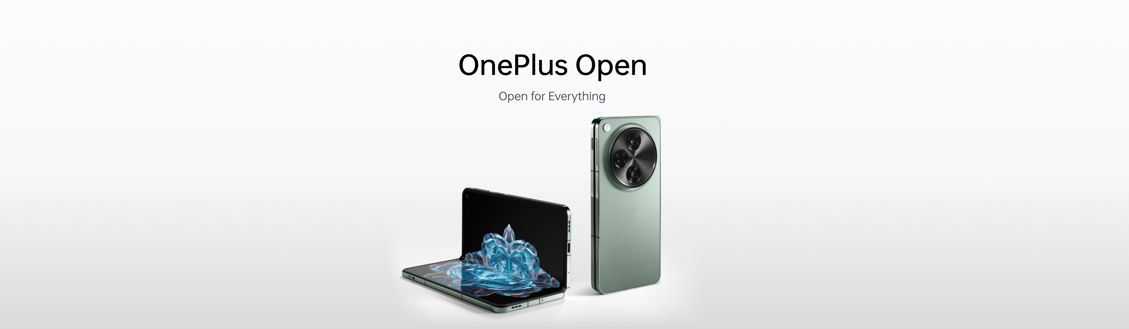 OnePlus Open Premium Service